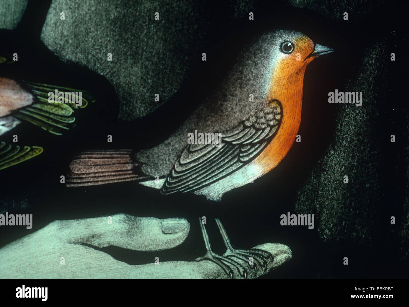 Selborne Church a detail of the Robin Gilbert White memorial window ...