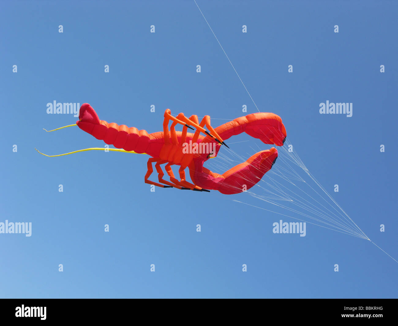 Lobster kite hi-res stock photography and images - Alamy