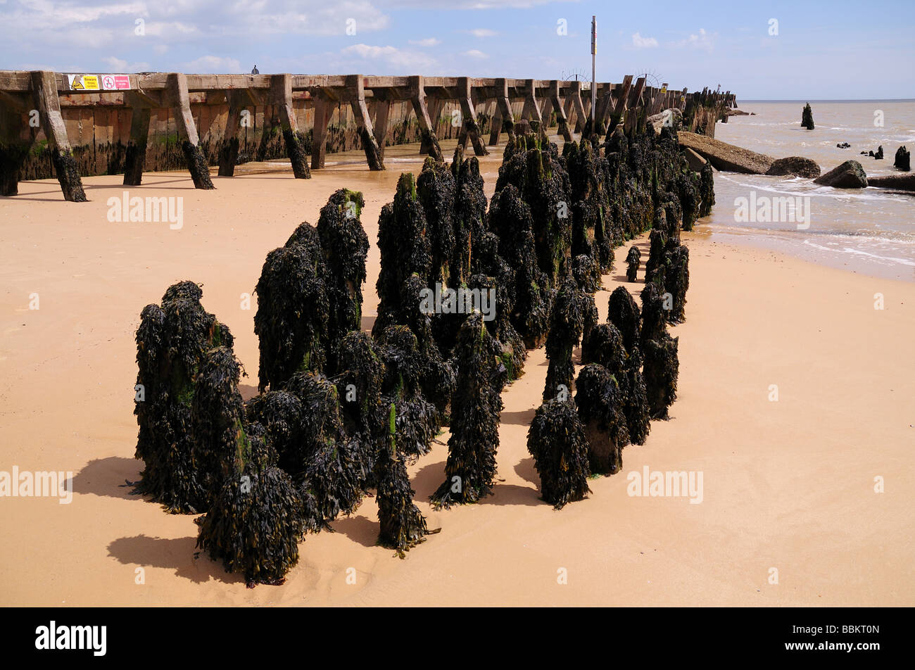 Concrete rotting hi-res stock photography and images - Alamy