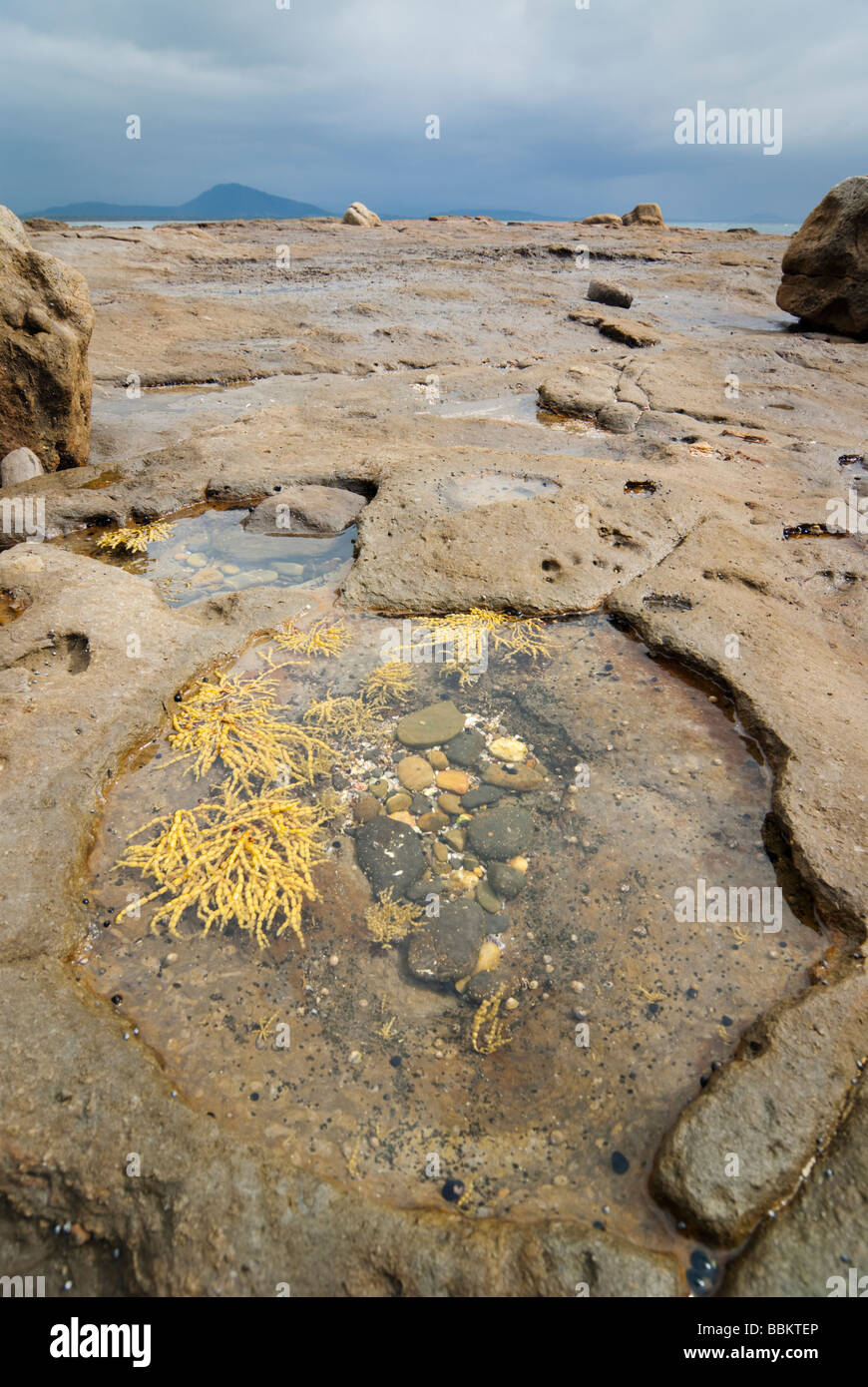 Coastal Rockpools in Australia Stock Photo - Alamy