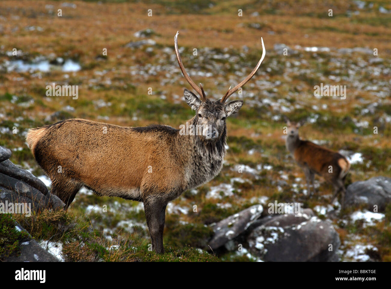 Liathach torridon hi-res stock photography and images - Alamy