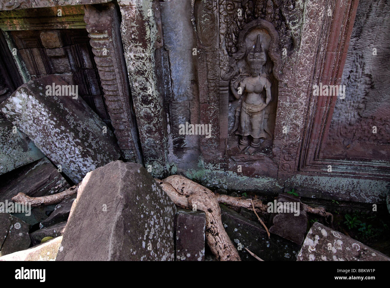Apsara-figure in the overgrown temple site Ta Phrom, Angkor, Seam Reap ...