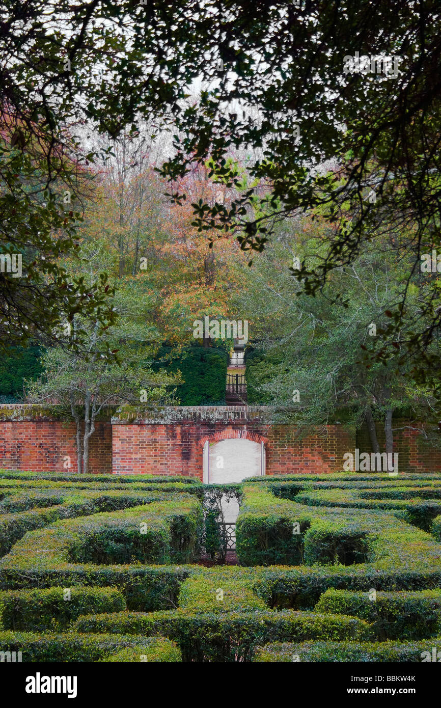 The American holly Ilex opaca hedge maze in the gardens adjacent to the ...
