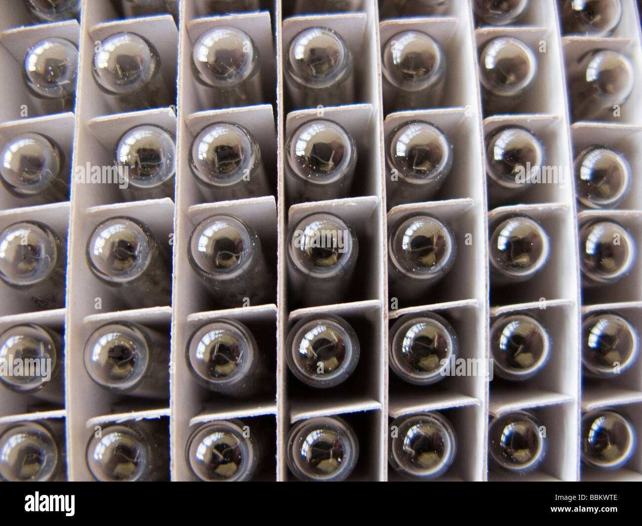 small pea light bulbs Stock Photo - Alamy