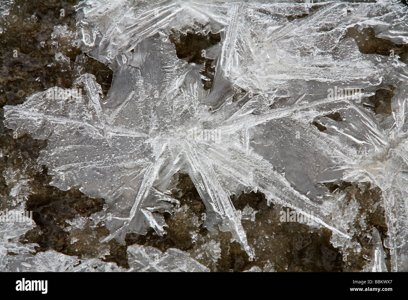 The formation of ice crystals hi-res stock photography and images - Alamy