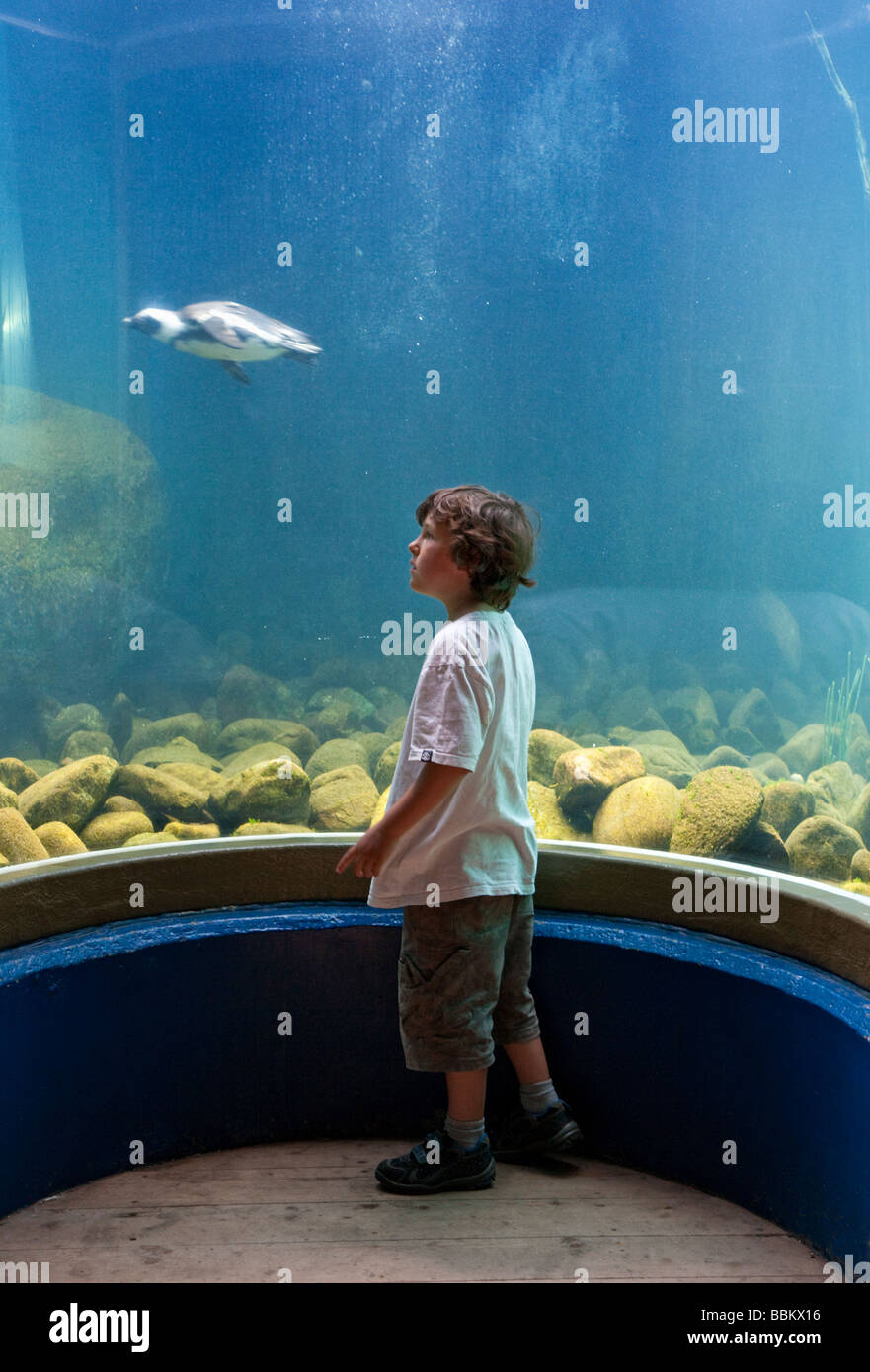 Zoo boy hi-res stock photography and images - Alamy