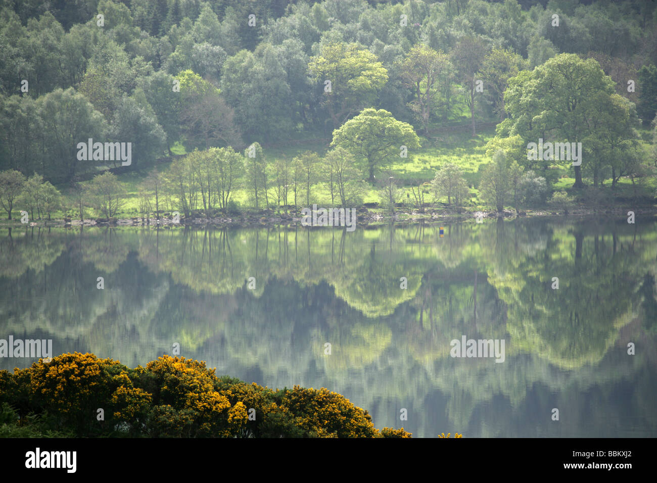 Loch Venachar, Scotland. Scenic morning view of Loch Venachar looking ...