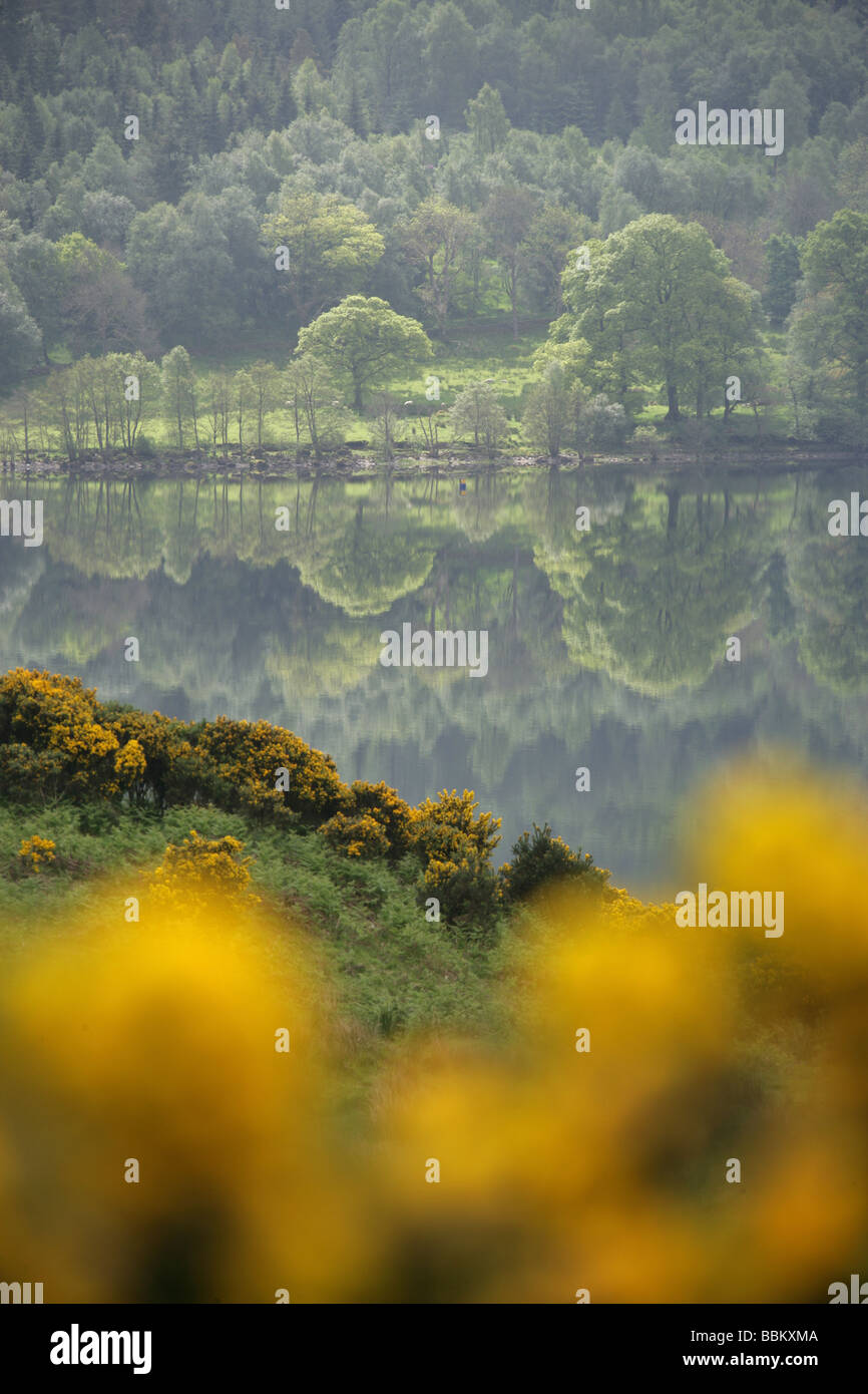 Loch Venachar, Scotland. Scenic morning view of Loch Venachar looking ...