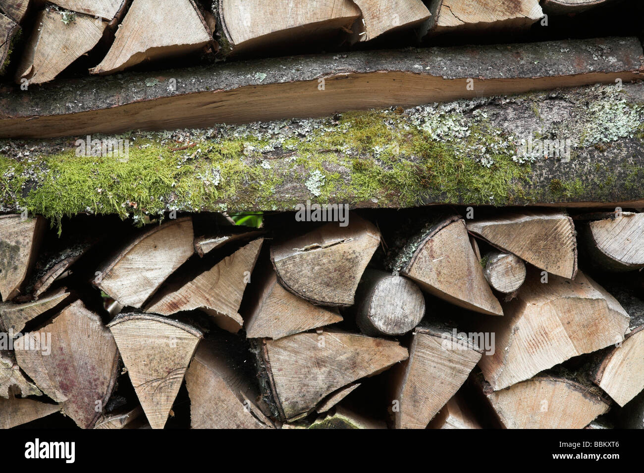 Split wood in a wood stack Stock Photo - Alamy