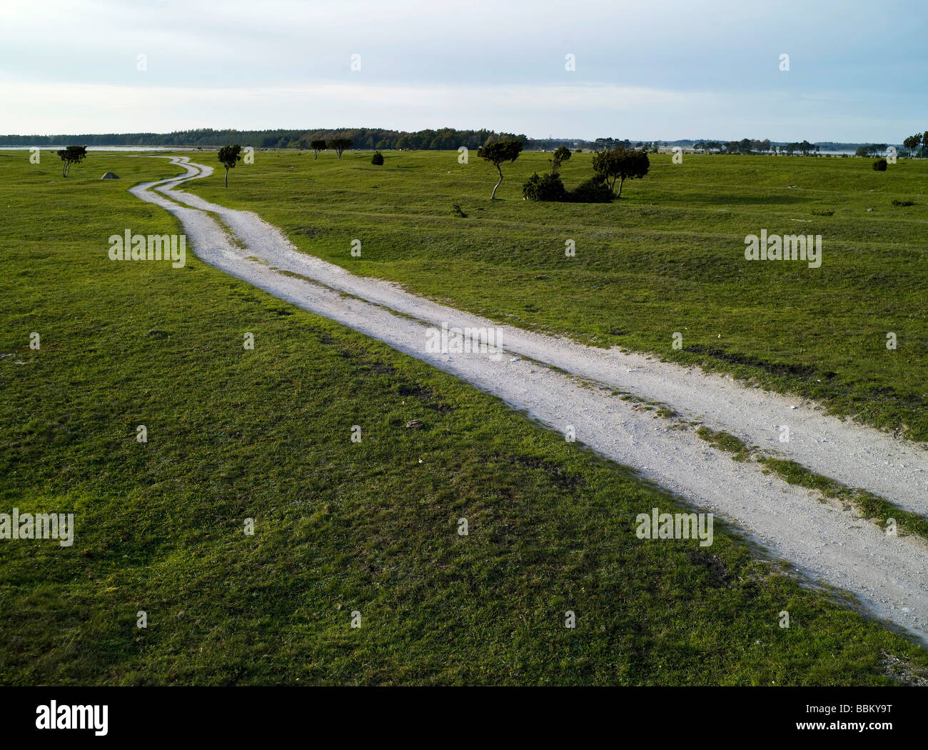 Gotland Landscape Stock Photos & Gotland Landscape Stock Images - Alamy