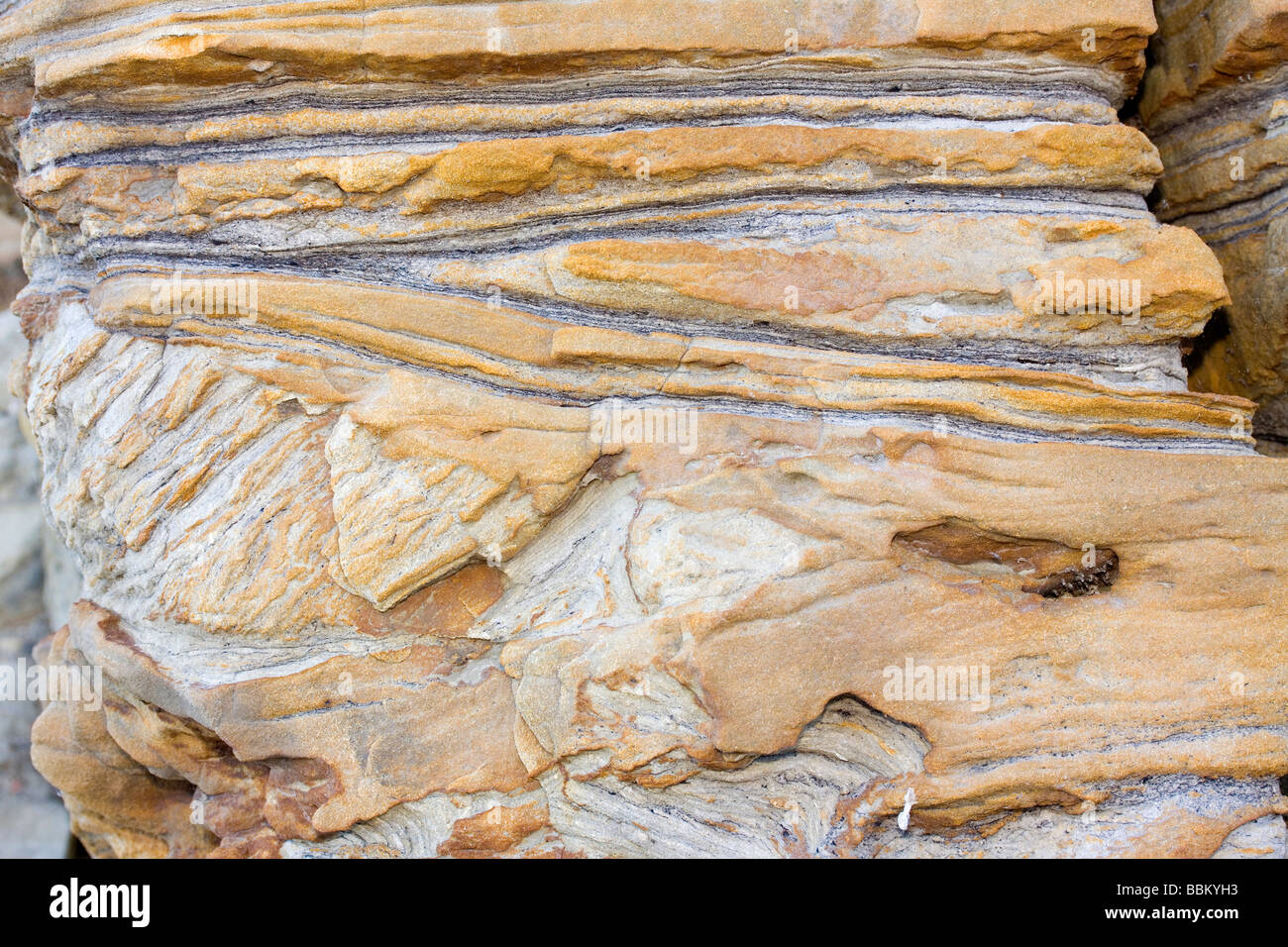 Sedimentary Rock Structures