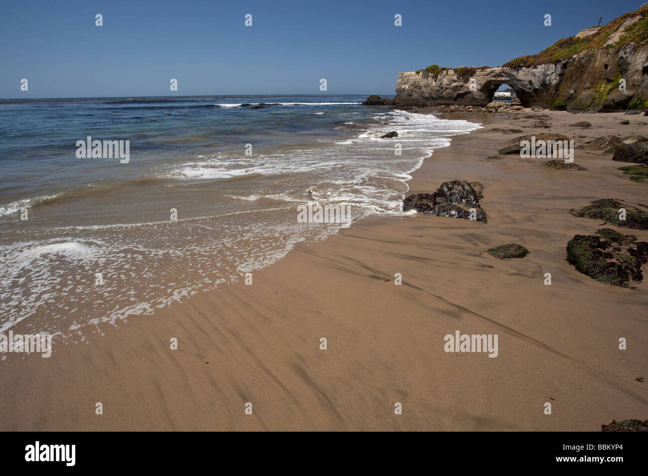 Lighthouse Field State Beach is a protected beach located in California ...