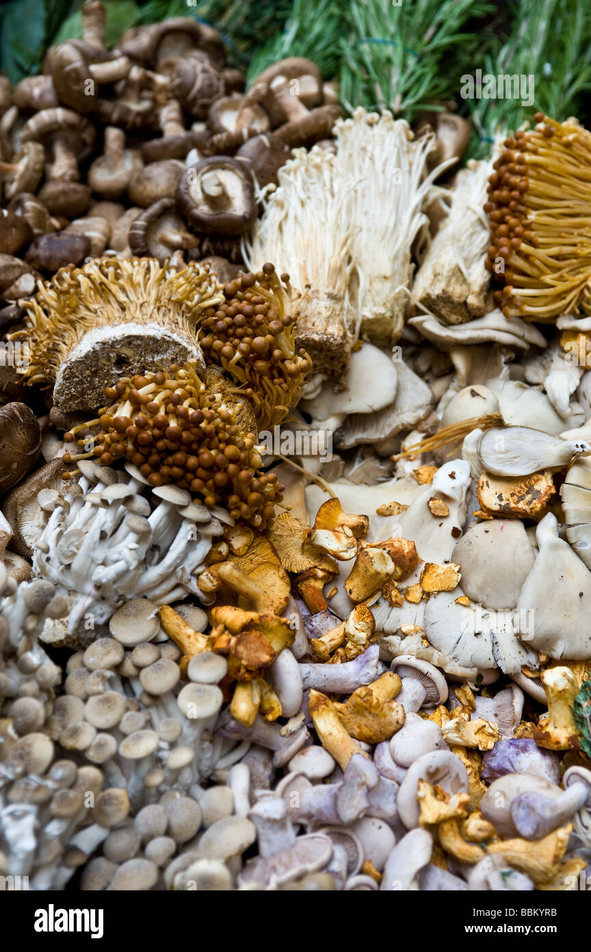 Assorted fungi for sale at Borough Market in London. Photo by Gordon ...
