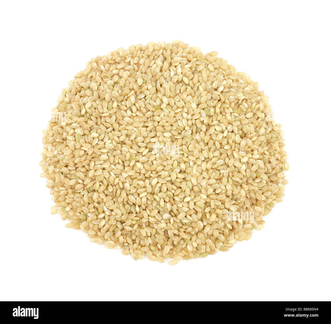 Organic short brown rice Stock Photo - Alamy
