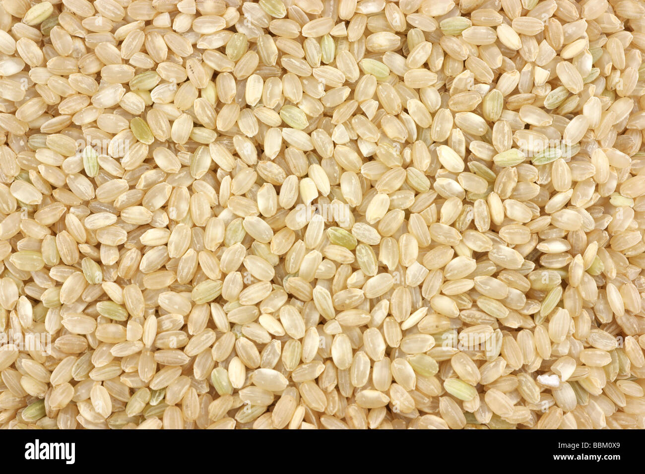 Short grain rice hi-res stock photography and images - Alamy
