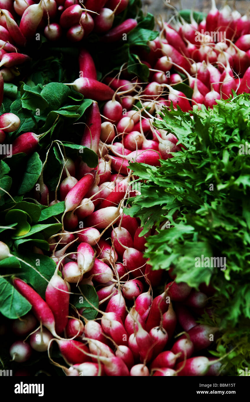 Radishes for sale at Borough Market in London. Photo by Gordon Scammell ...