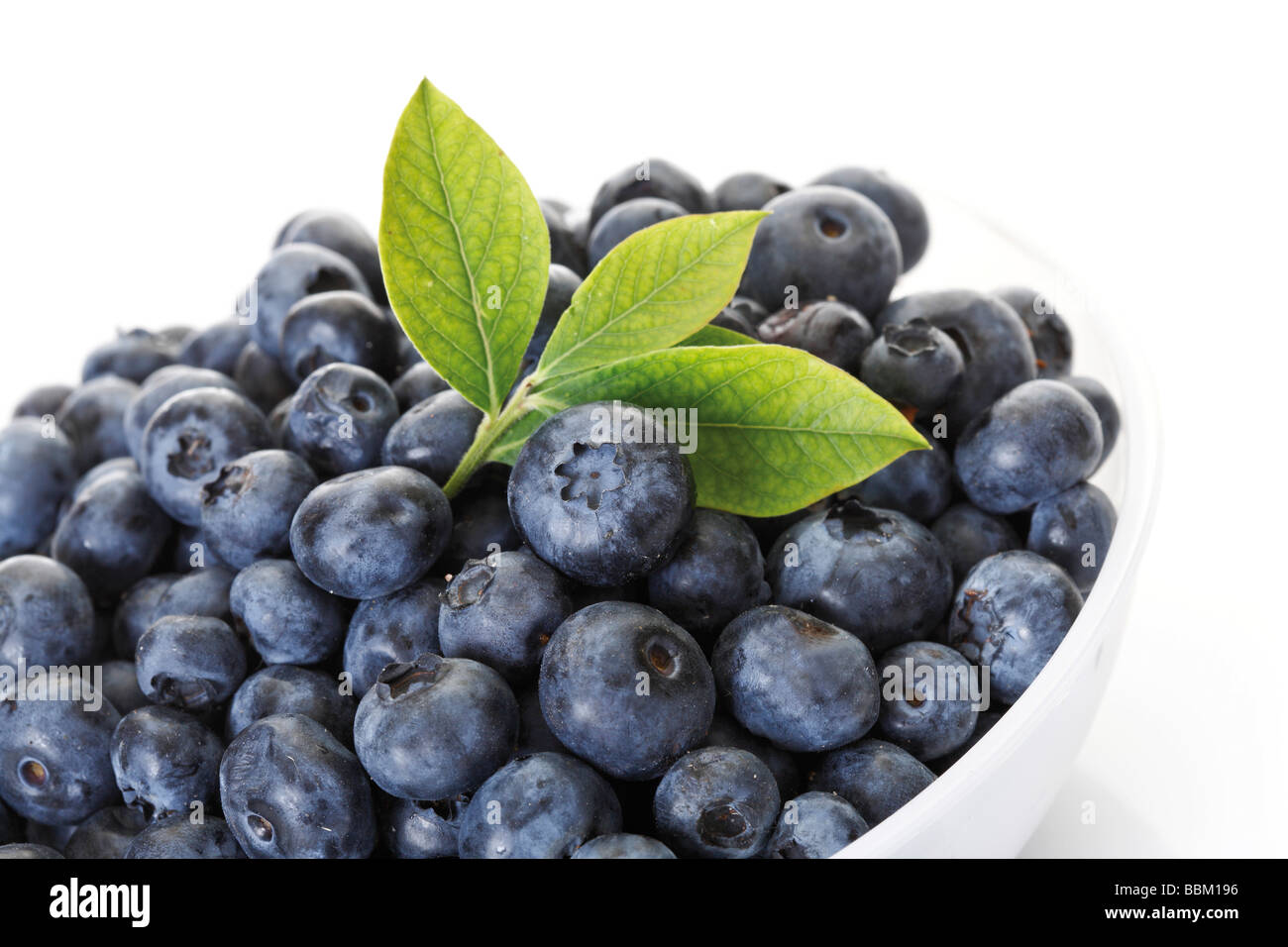 Blueberries with small leaves Stock Photo - Alamy