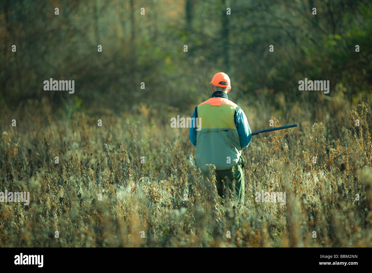 Bird hunter with dog hi-res stock photography and images - Alamy