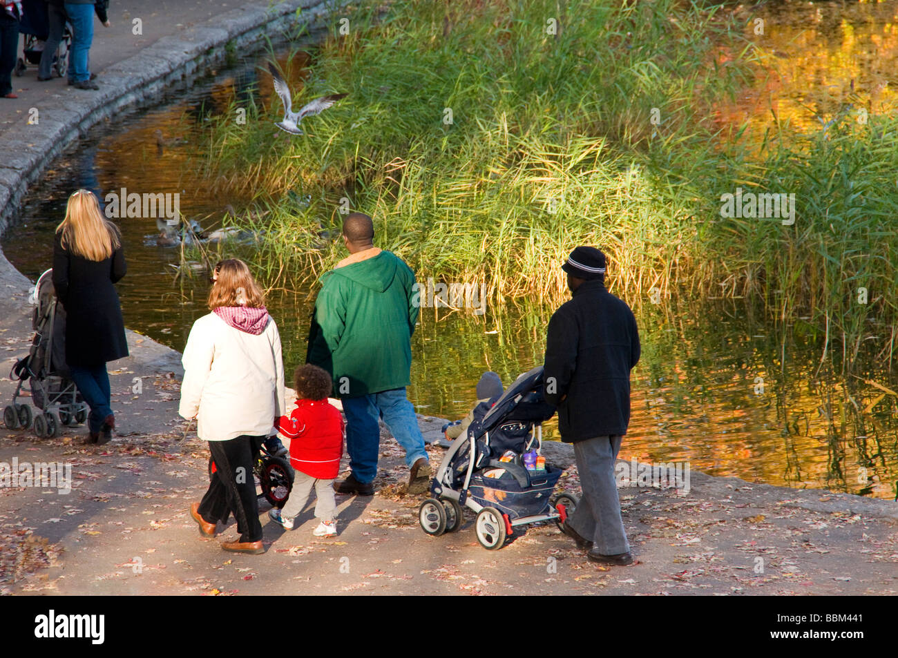 Multicultural Montreal , people having a stroll in Mont Royal park ...