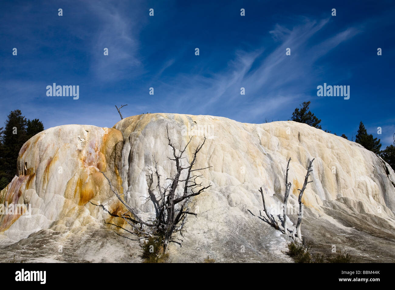 Orange Spring Travertine Mound Mammoth Hot Springs Yellowstone National ...