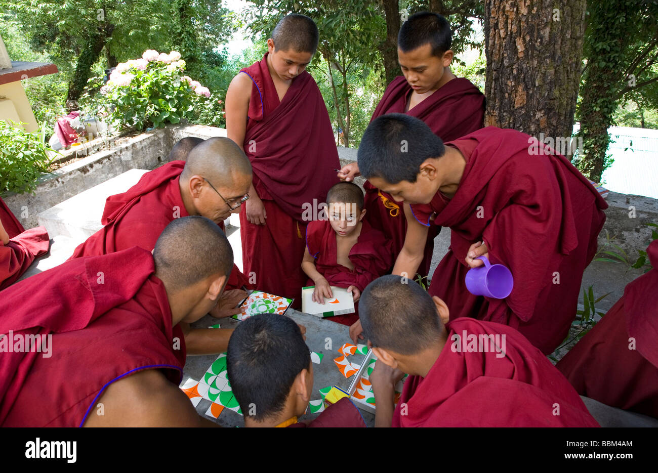 Novice monks playing puzzle. Tsechokling Tibetan Monastery. McLeod Ganj ...