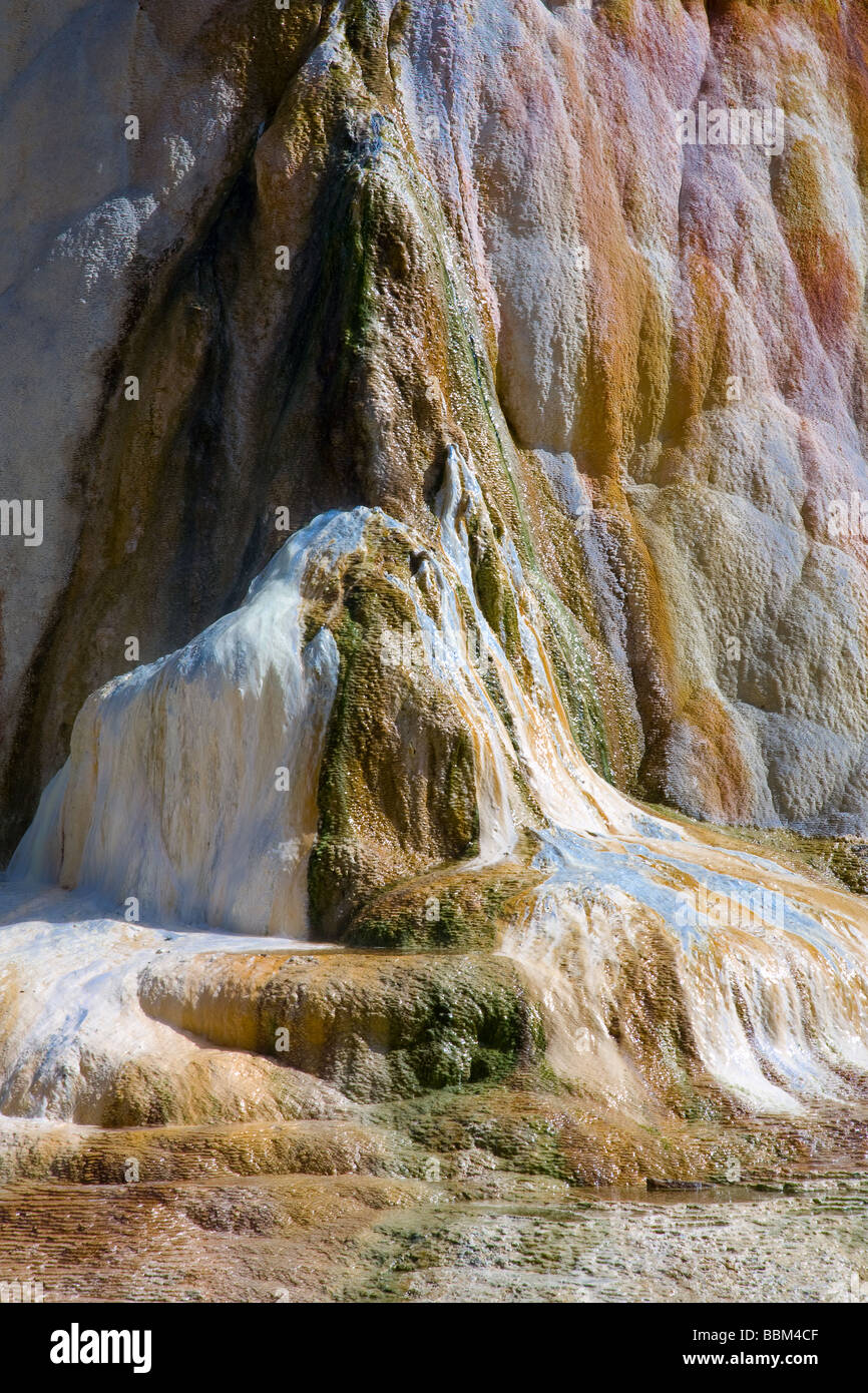 Orange Spring Travertine Mound Mammoth Hot Springs Yellowstone National ...