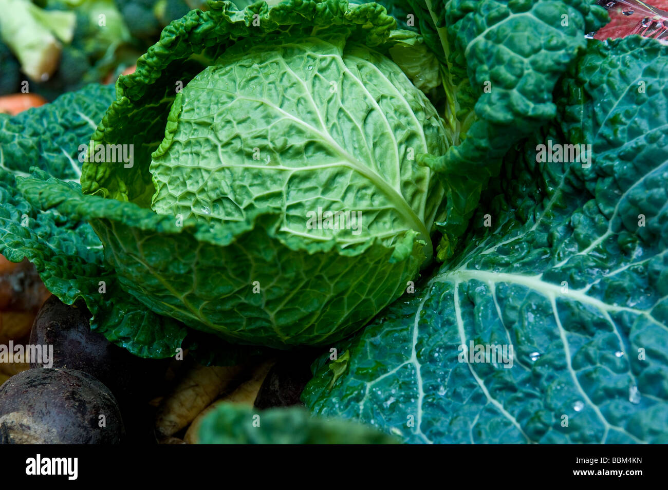 Cabbage for sale at Borough Market in London. Photo by Gordon Scammell ...
