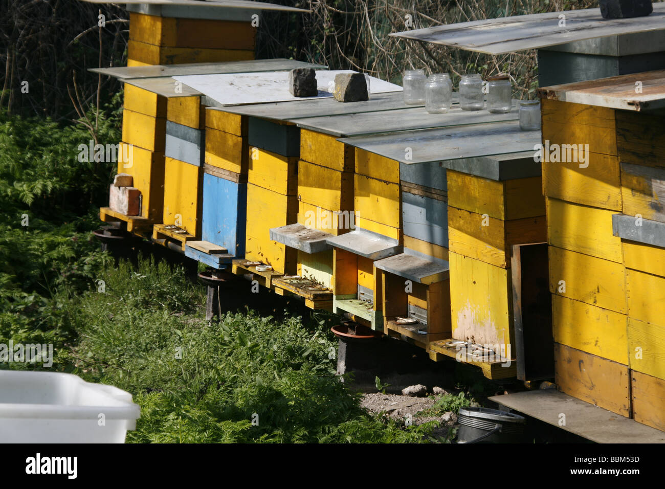 many bee hives in field in countryside Stock Photo - Alamy
