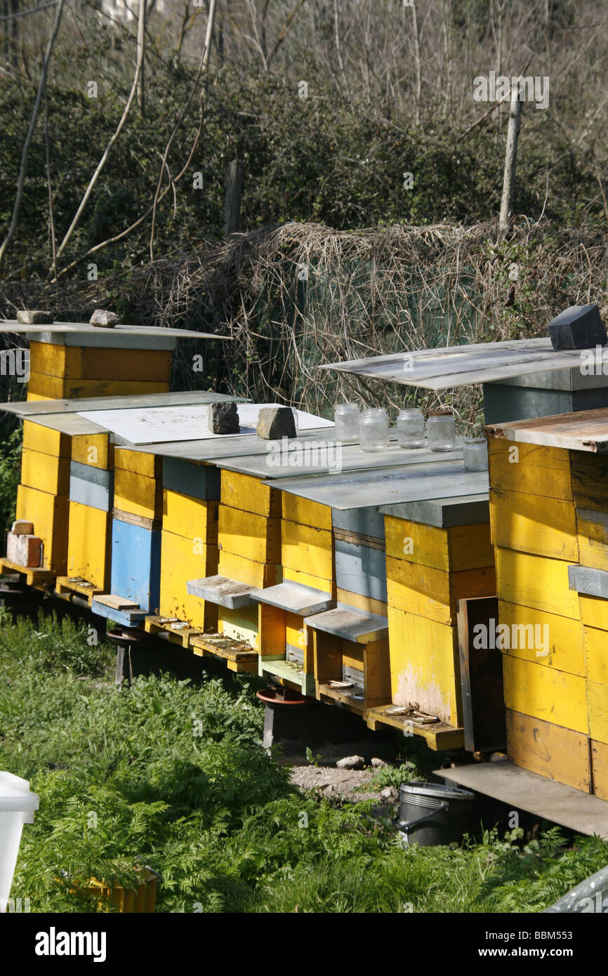 Bee hives huts hi-res stock photography and images - Alamy