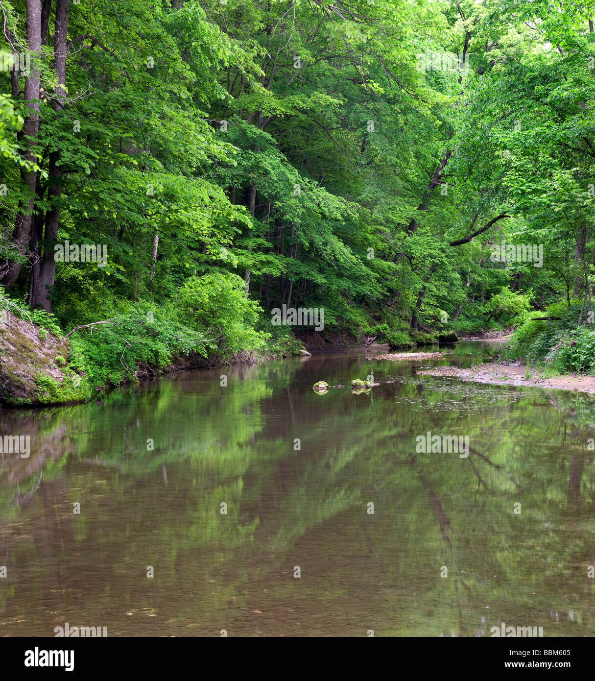 Richmond Spring, Backbone State Park, Delaware County, Iowa Stock Photo ...