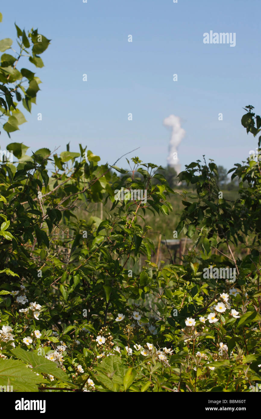 power station nuclear reactor park USA Stock Photo - Alamy