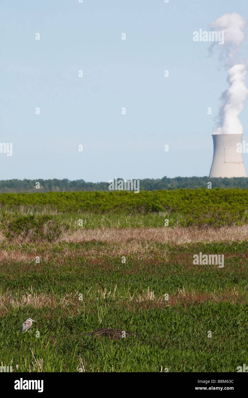 The eletrical nuclear power plant destroys nature reactor chimney ...