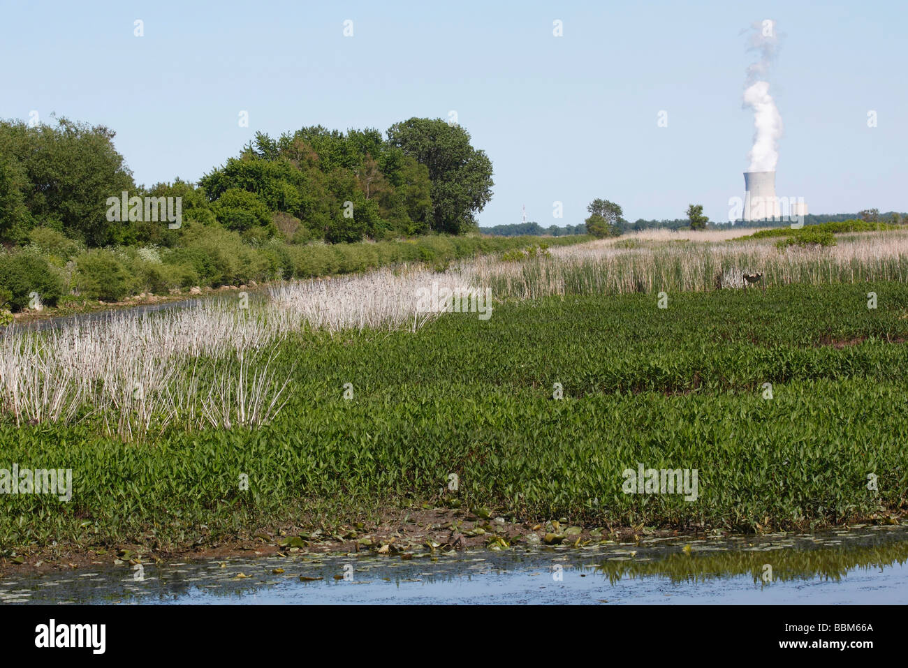 The eletrical nuclear power plant destroys nature reactor chimney ...