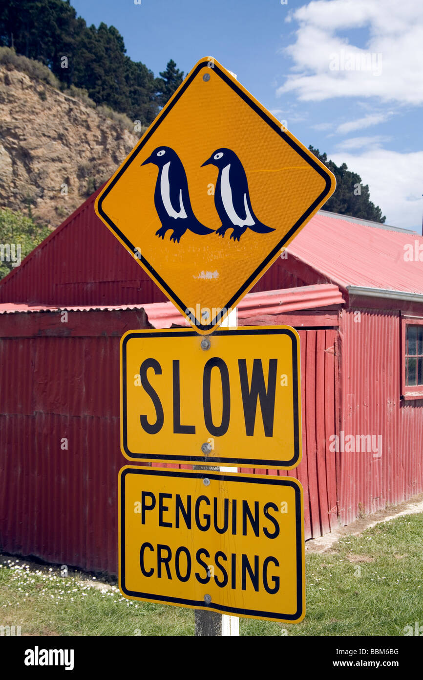 Otago South Island New Zealand Traffic sign in Oamaru, home to the ...