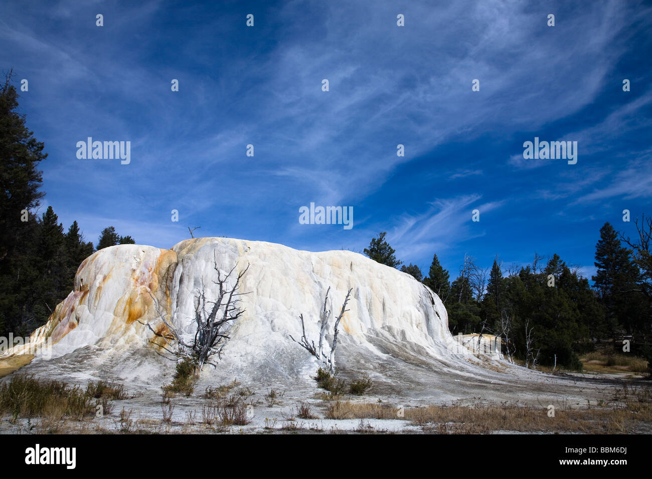 Orange Spring Travertine Mound Mammoth Hot Springs Yellowstone National ...