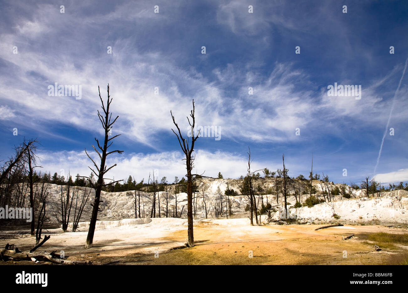 Spring Terrace at Mammoth Hot Springs Yellowstone National Park Wyoming ...