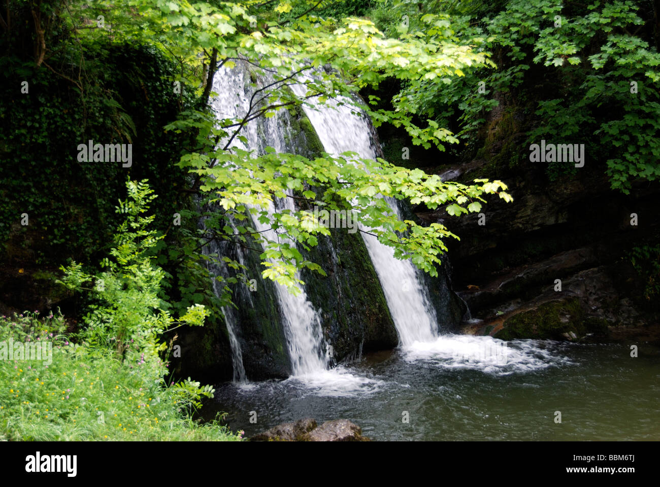Janet's Foss Waterfall near Malham Village in the Yorkshire Dales Stock ...