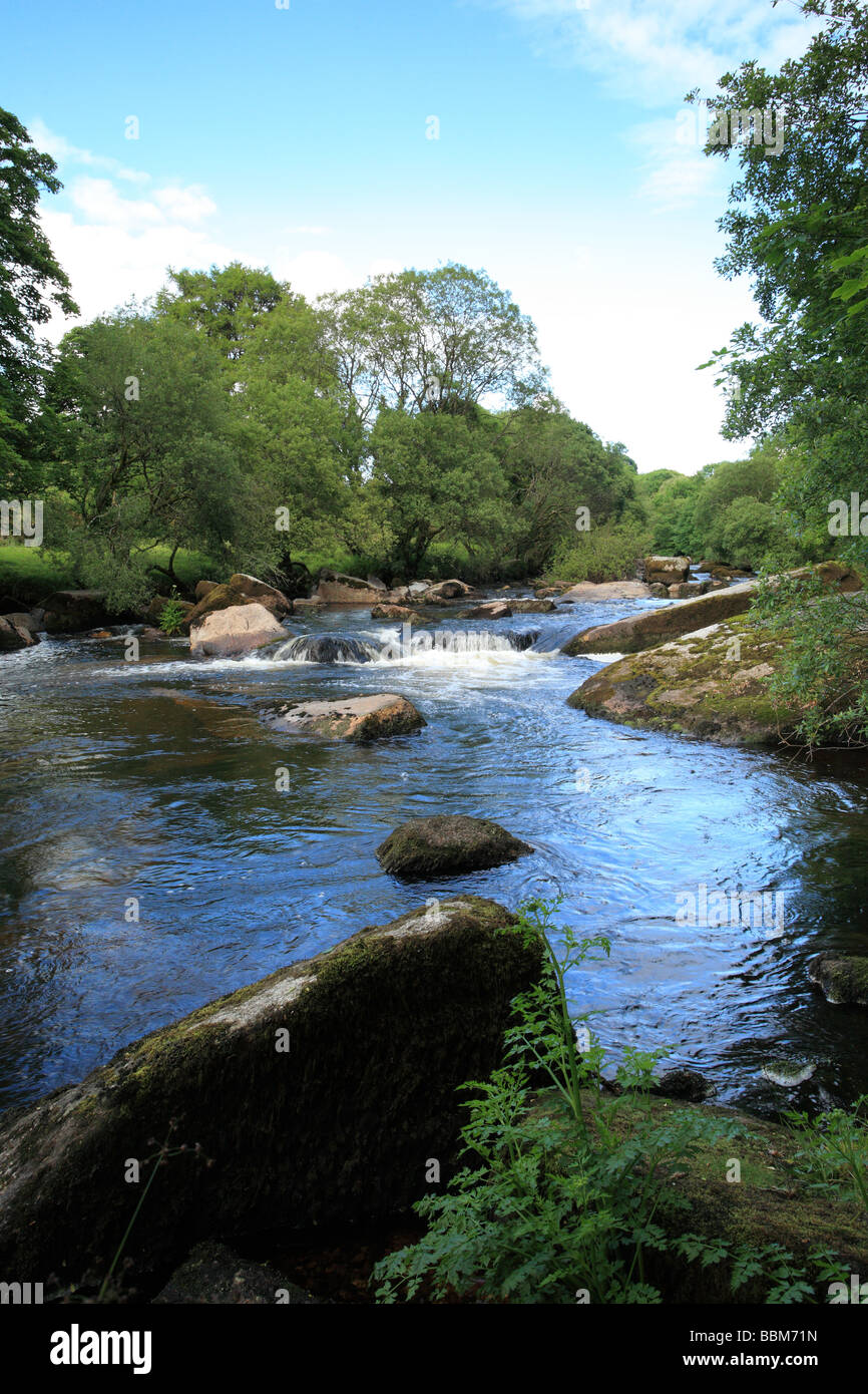 River Dart near Huccaby, Dartmoor, Devon, England, UK Stock Photo - Alamy