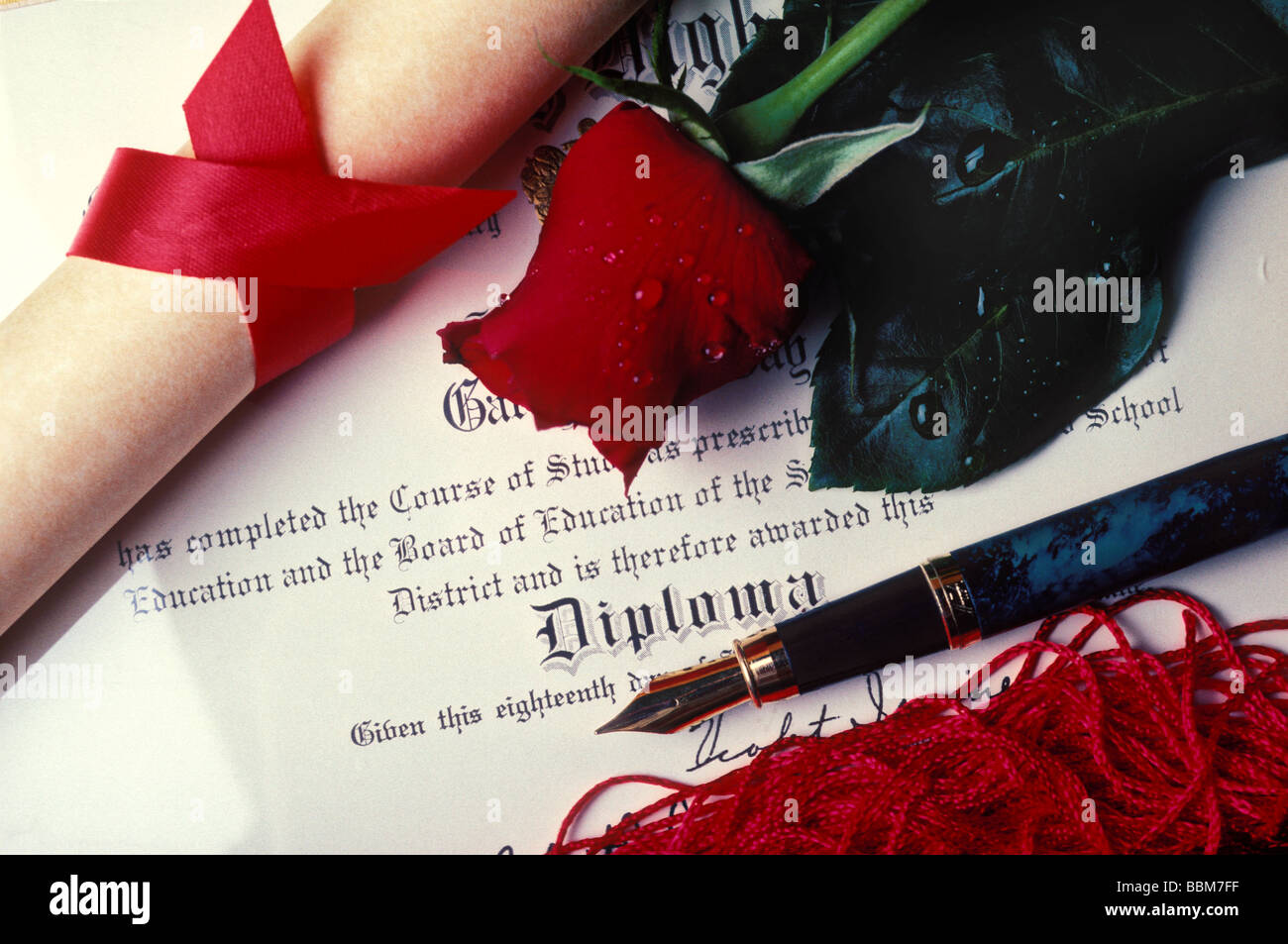Diploma and red rose with fountain pen Stock Photo - Alamy