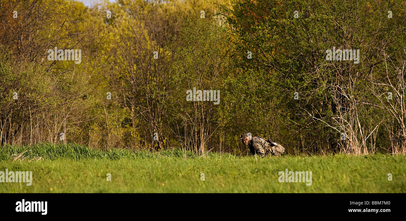 Wild Turkey hunter works his way across an open field Stock Photo - Alamy