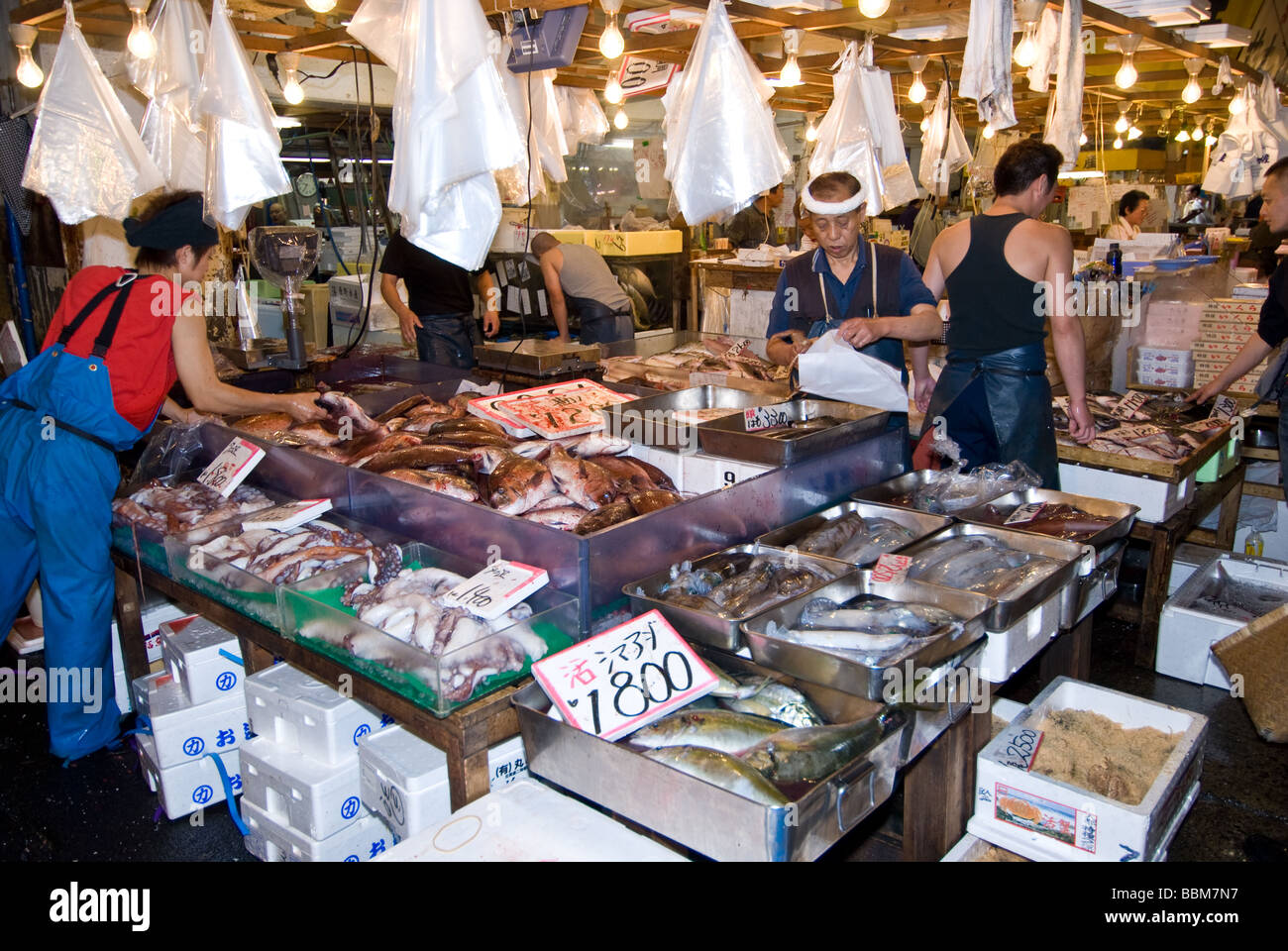 Worlds largest fish market hi-res stock photography and images - Alamy