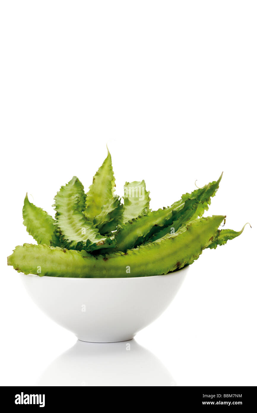 Psophocarpus tetragonolobus hi-res stock photography and images - Alamy