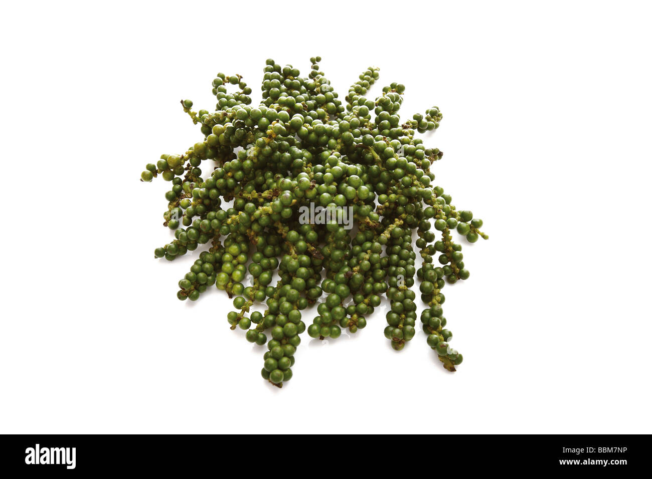 Green pepper, panicles Stock Photo - Alamy