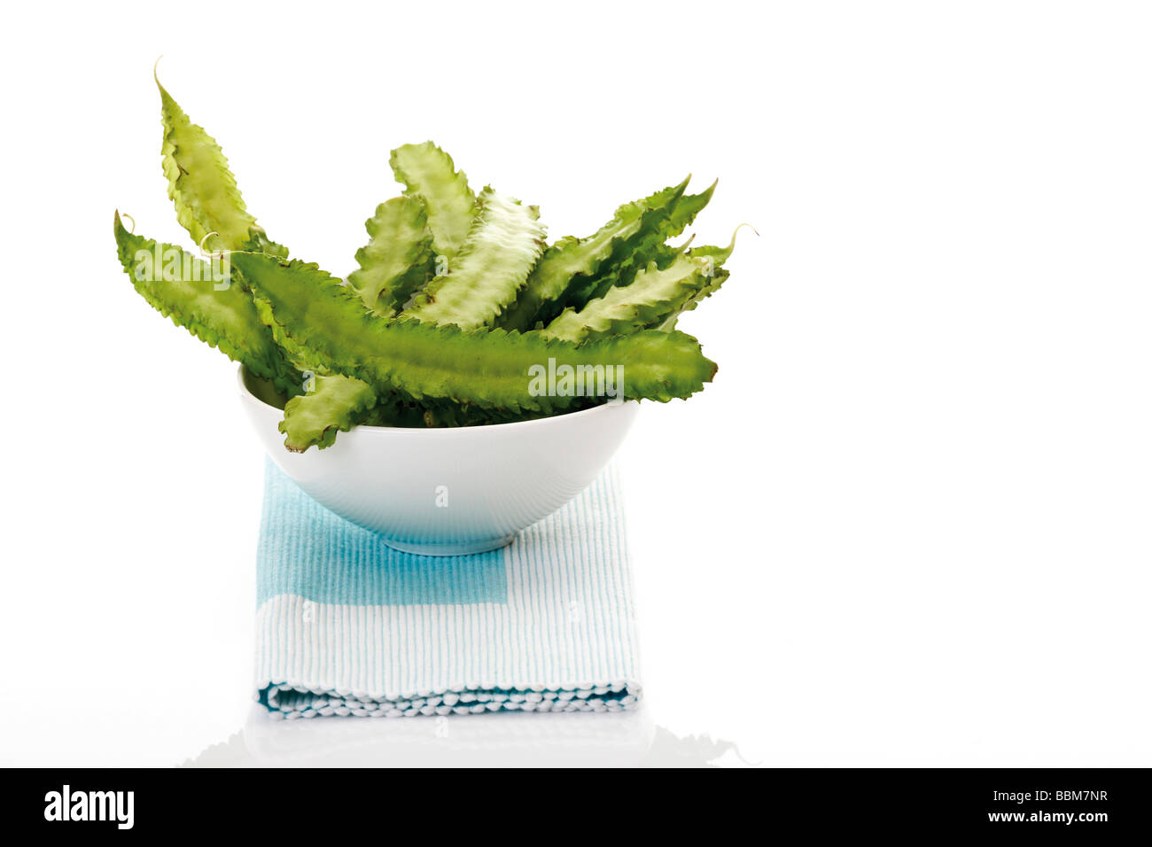 Winged Beans, Goa Beans (Psophocarpus tetragonolobus) in a small ...