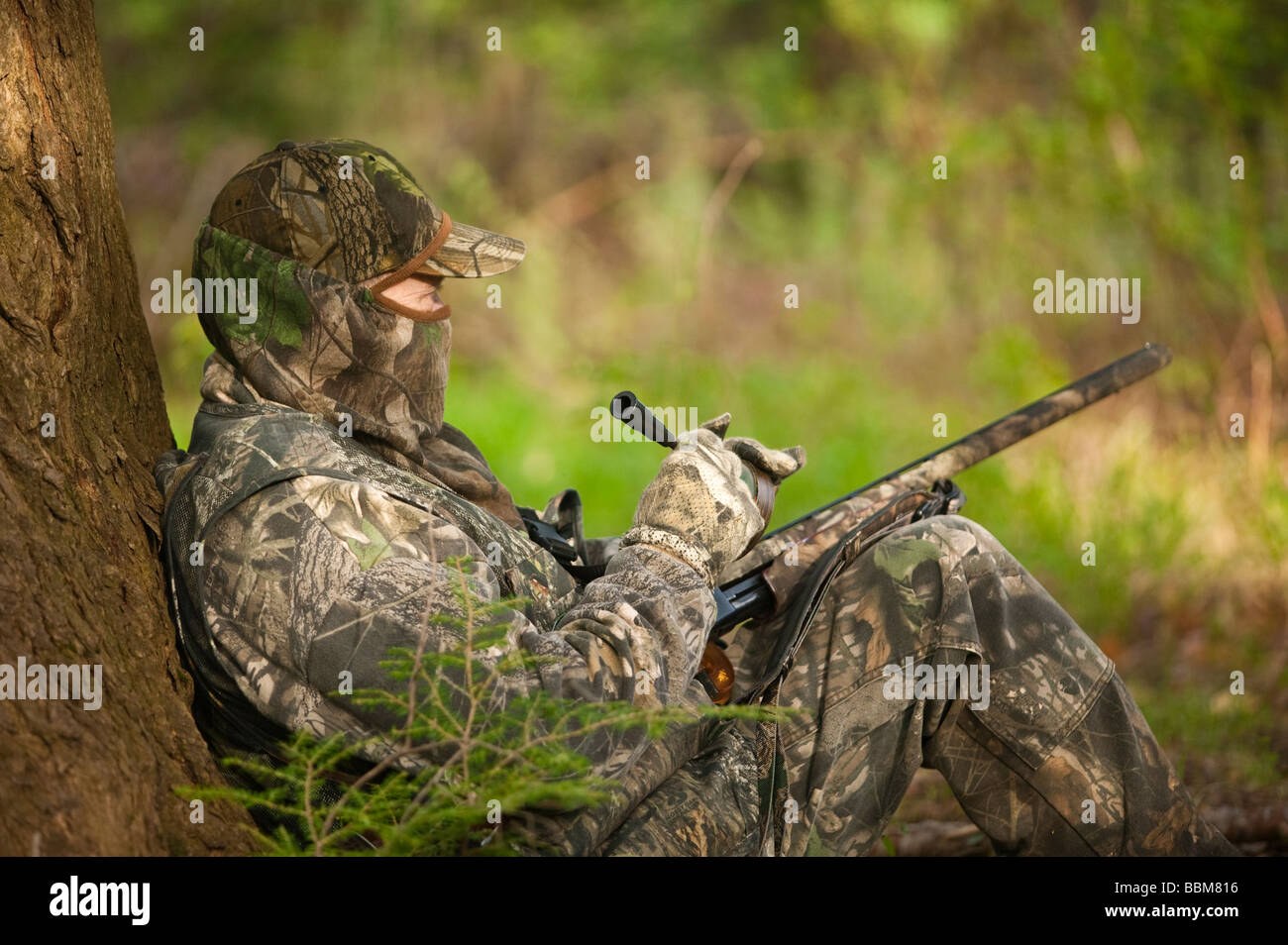 Spring Turkey Hunter sitting in woods Stock Photo - Alamy