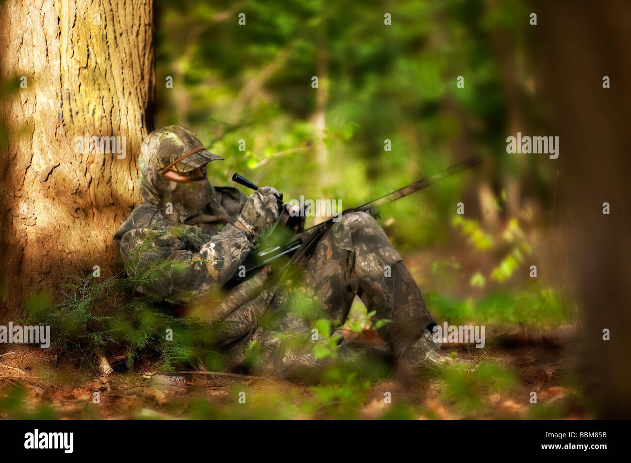 Spring Turkey Hunter sitting in woods Stock Photo - Alamy