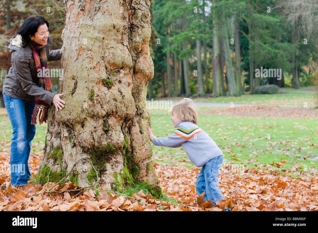 Young woman and young boy at opposite sides of large tree, Vancouver ...