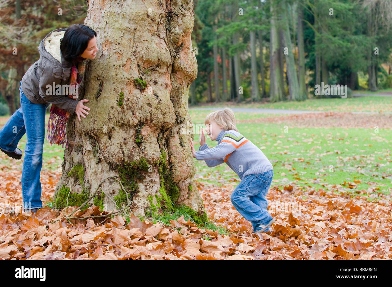 Young woman and young boy at opposite sides of large tree, Vancouver ...