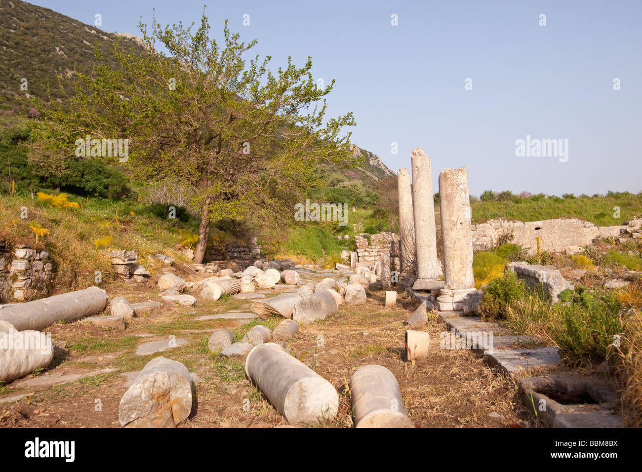 Broken columns along a path leading into Hierapolis in Turkey Stock ...