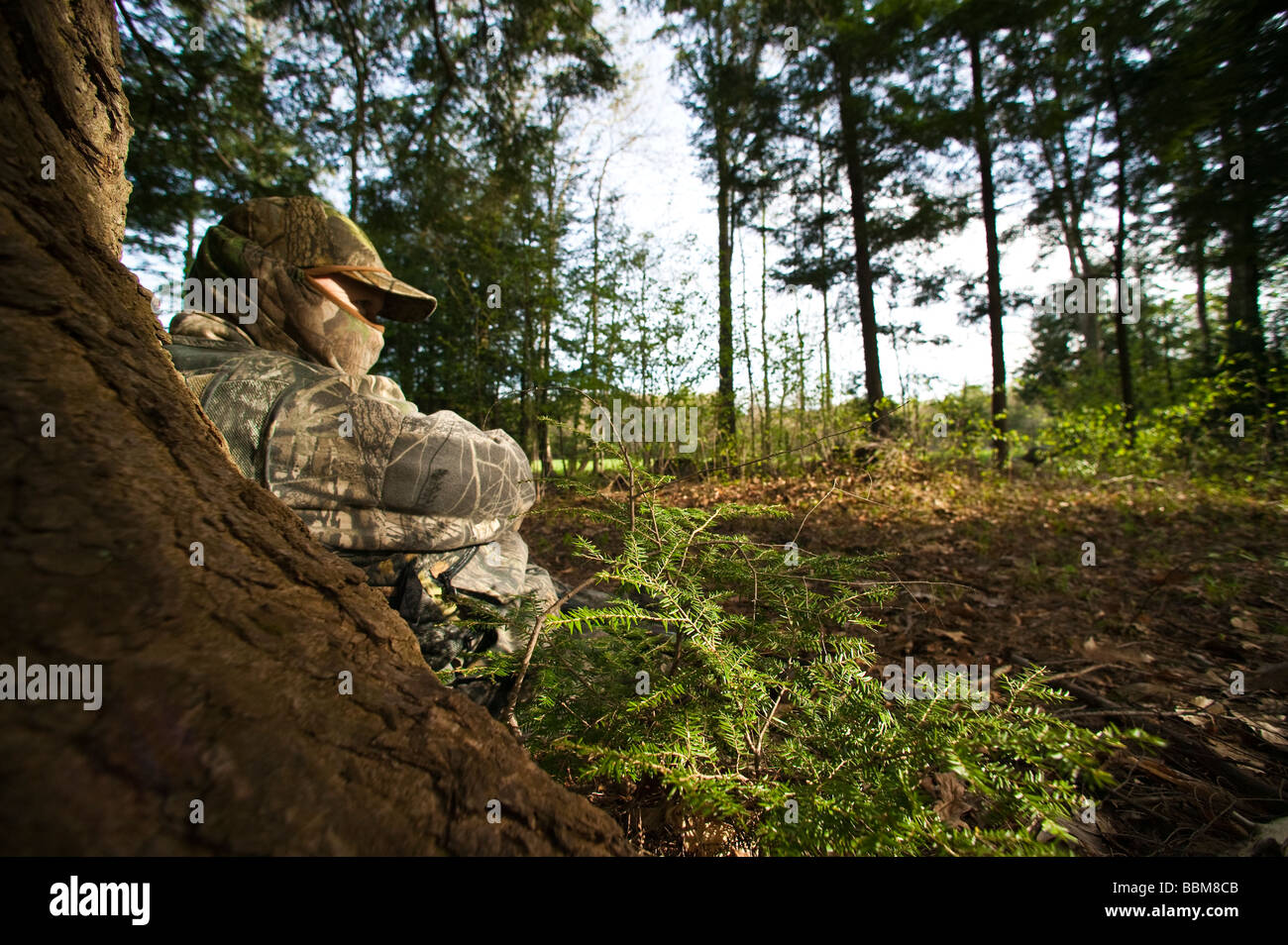 Spring Turkey Hunter sitting in woods Stock Photo - Alamy